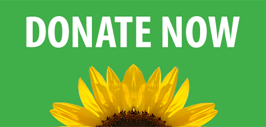 Take a Tour - Historic Camp Chesterfield